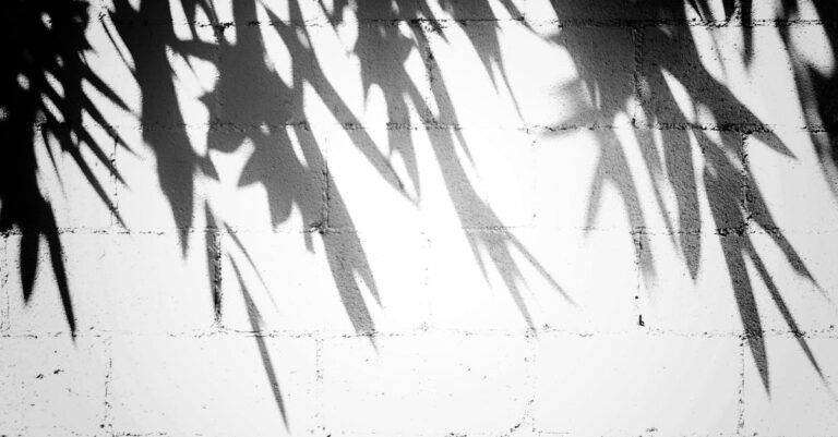 Hourdis : Guide complet sur les types, prix et installation