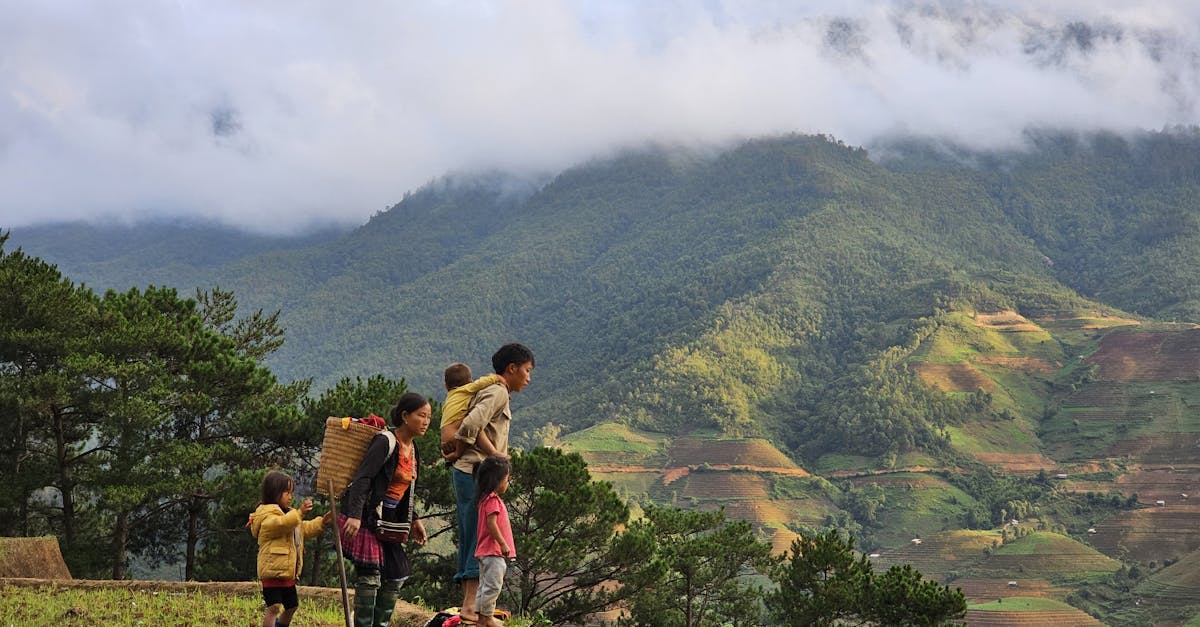 Les secrets de la terrasse en quartzite dévoilés